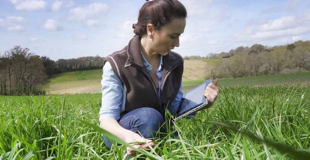 La aplicación de agroquímicos y el rol de los agrónomos | AgroNoa