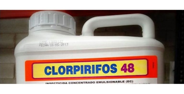 El Senasa prohibió el uso de clorpirifós | AgroNoa