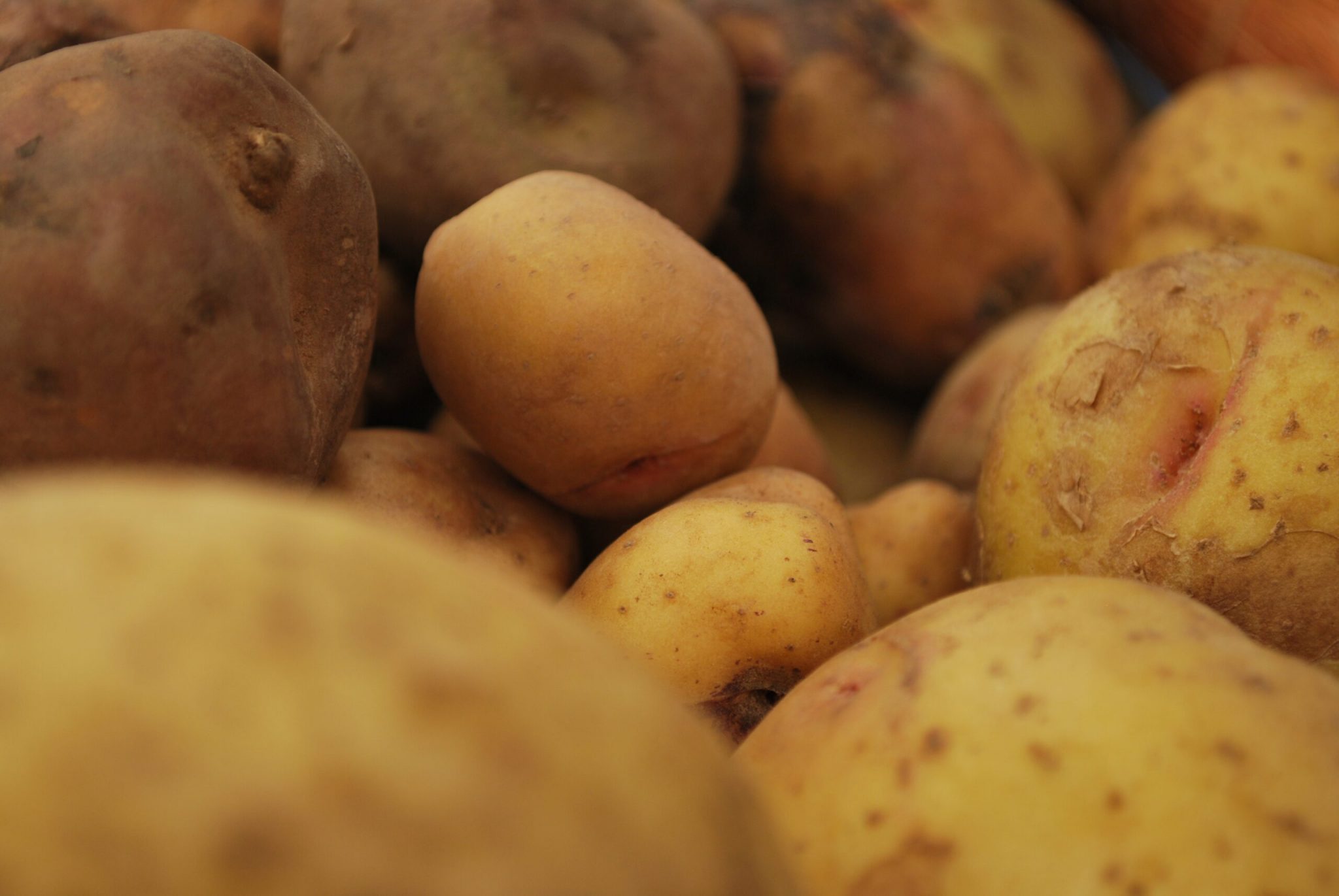 Especialistas de la UNSa crean alimentos con cáscaras de papa | AgroNoa