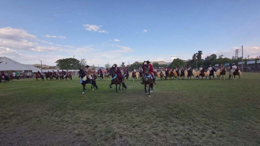 Los campeones del 39º Concurso Nacional de Caballos Peruano de Paso | AgroNoa