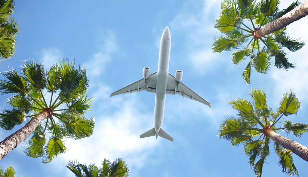 Crucíferas que harán volar los aviones | AgroNoa