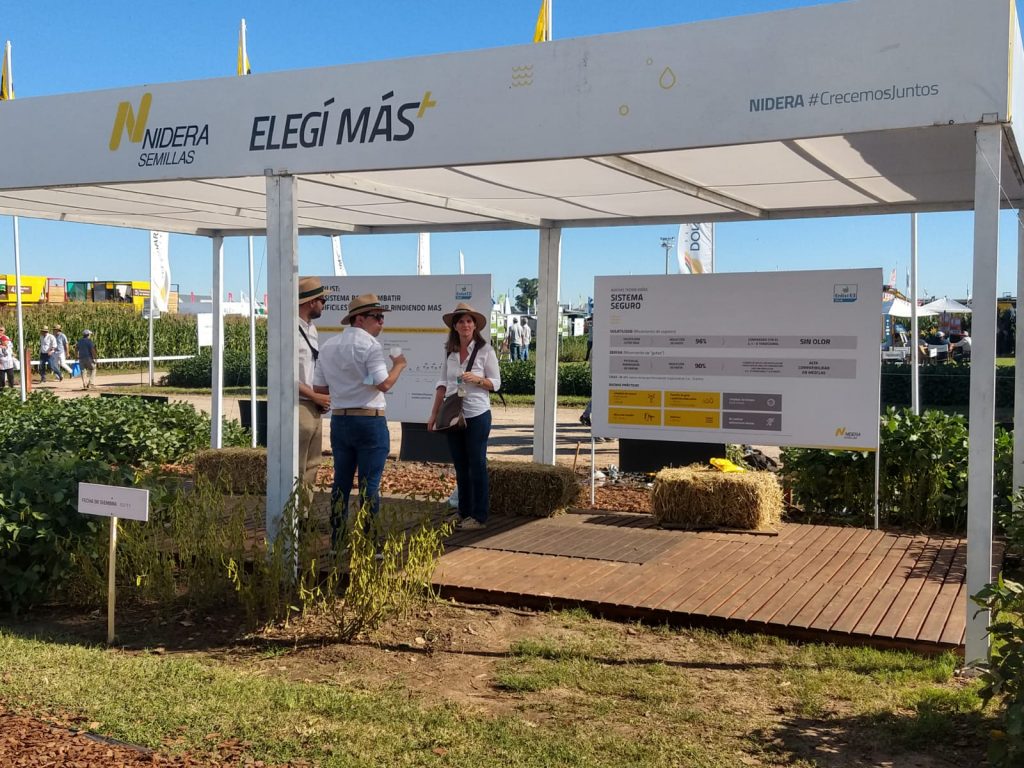 Nidera mostró sus novedades en maíz, soja y girasol | AgroNoa