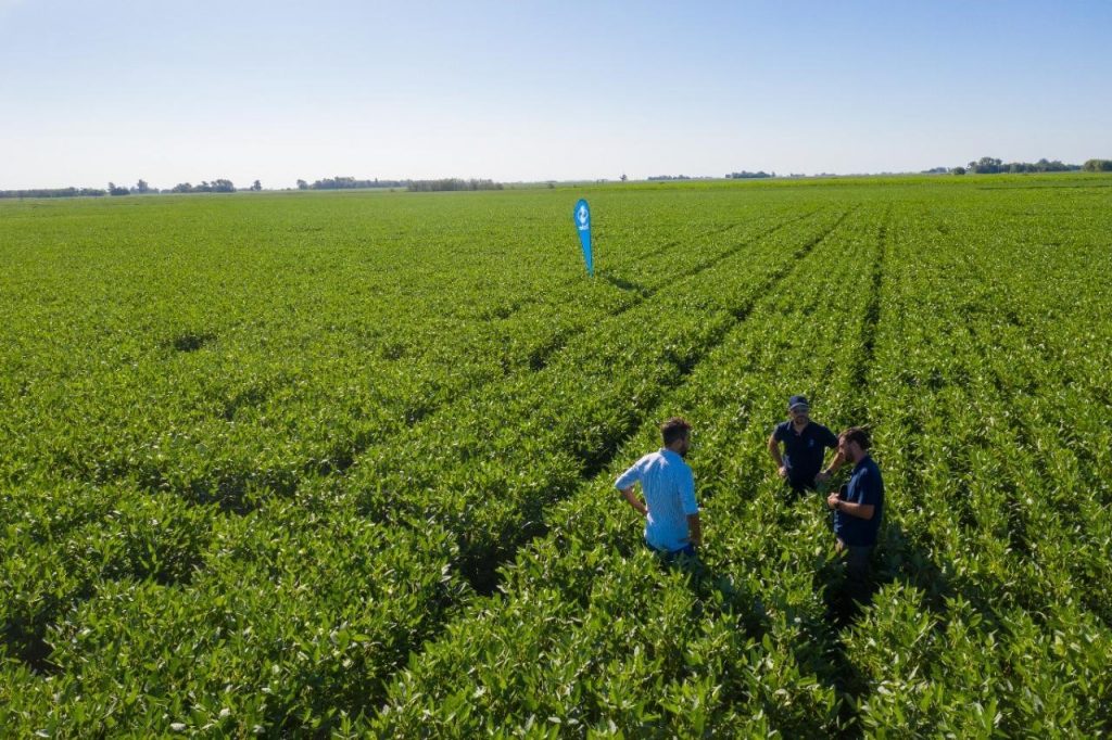 Bioestimulantes: herramientas para atenuar el impacto ambiental | AgroNoa