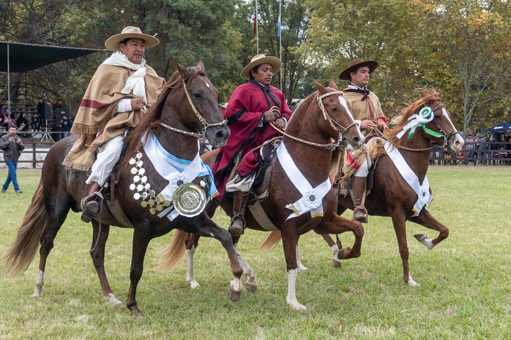 Los Peruano de Paso tuvieron su Nacional | AgroNoa