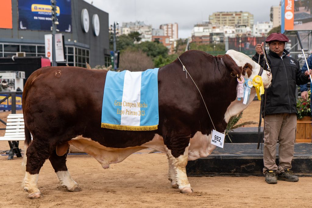 Los Braford tienen sus Grandes Campeones de Palermo | AgroNoa