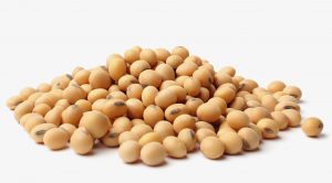 Soja genéticamente modificada en la Argentina | AgroNoa