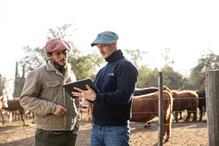 El Quinto Pilar Ganadero: veterinarios, el motor del éxito productivo ...