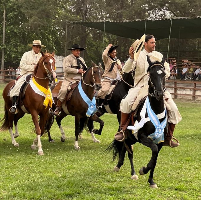 Concurso Nacional de Caballos Peruano de Paso | AgroNoa