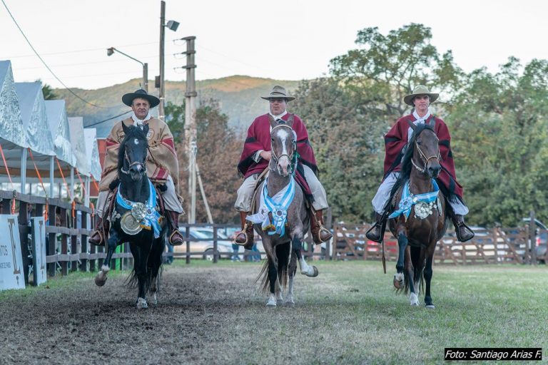 La vigencia y pujanza de los Peruano de Paso | AgroNoa