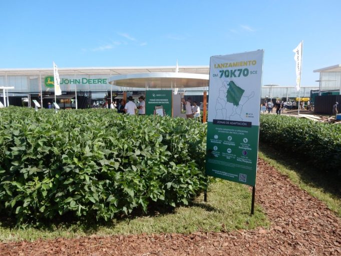 Claves de manejo y genética para un cultivo de soja de excelencia | AgroNoa
