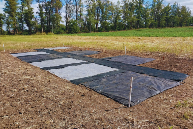 INTA avanza en técnicas ecológicas para el manejo de suelos | AgroNoa